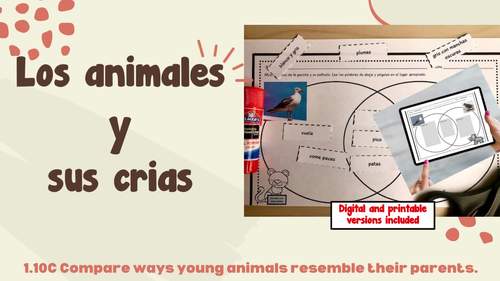 Los animales y sus crias by Cloud Ten | TPT