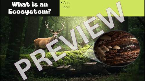 AP Environmental Introduction to Ecosystems Lesson BUNDLE | TPT