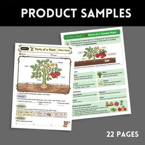 GRADE 1 SCIENCE BUNDLE — 10 Info Sheets + 10 Coloring Worksheets