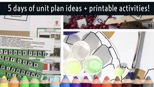 1 FULL WEEK of REPTILES | Tot School | Pre-K PreSchool Teacher and Student