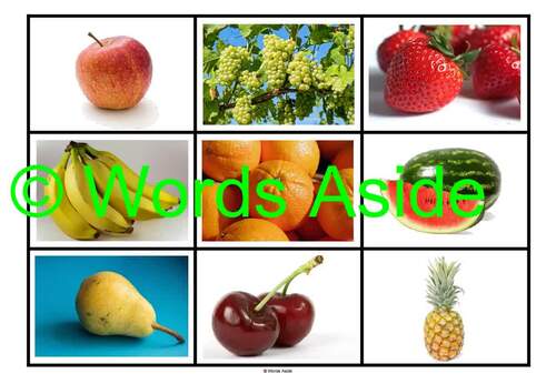 French Vocabulary Matching Picture Flash Cards Autism SpEd Fruits