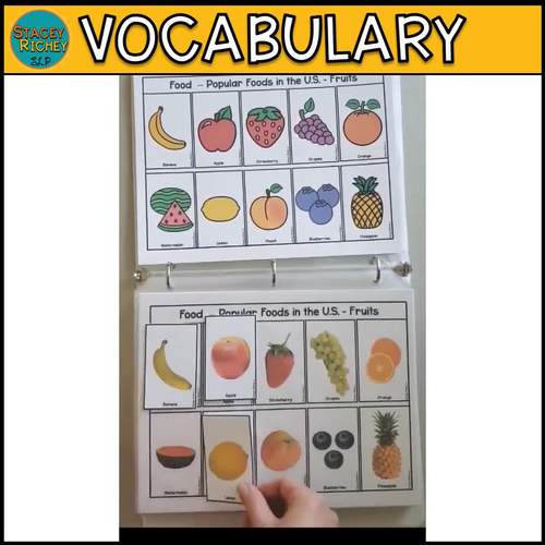 Speech Therapy Food Vocabulary Unit with Lesson Plan Ideas and REAL Photos