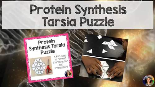 Protein Synthesis Tarsia Puzzle | Vocabulary review game | TPT