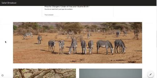 Linear Relationships and Proportionality - Ratios - Safari Digital Escape