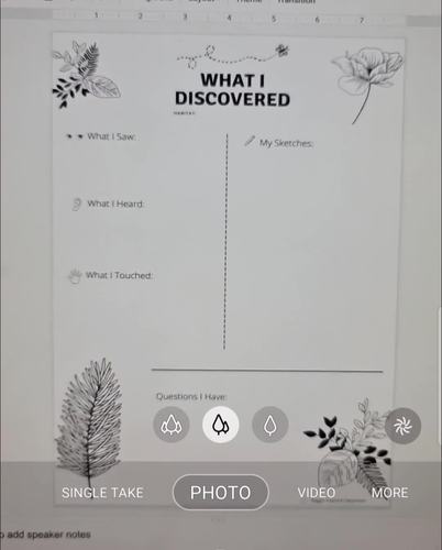 Field Work Journal Pages by Reggio Inspired Classroom | TPT