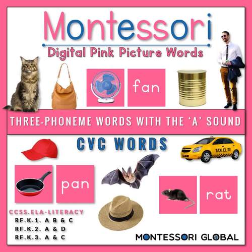 Montessori Pink Picture Word Cards | CVC Word Activities | Boom Cards™