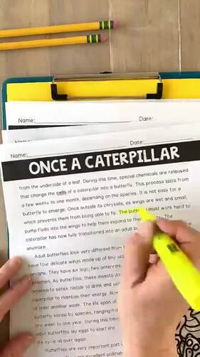 Life Cycle of a Butterfly Chicken Bee Spring Reading Passages Worksheets