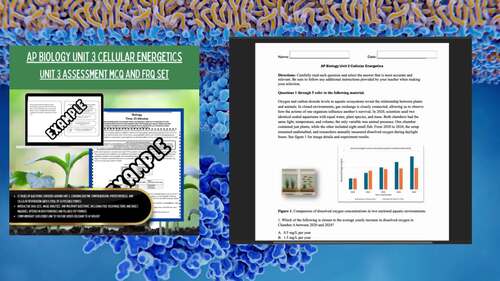 AP Biology UNIT 3 Cellular Energetics Complete Mini Test Assessment MCQ ...
