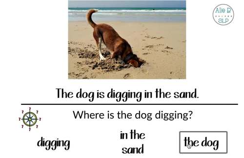 Answering WH Questions with Key Words BOOM Cards™ for Speech Therapy