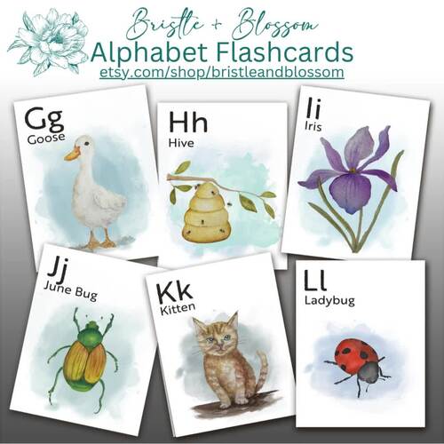Watercolor Nature Themed Alphabet Flashcards by Bristle and Blossom