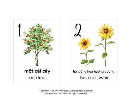 Vietnamese Resources - Bilingual Number Counting Flashcards and ...