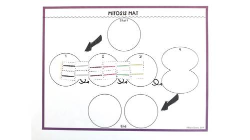 Hands-on Activities to Teach Mitosis and the Cell Cycle by Scienceopoly