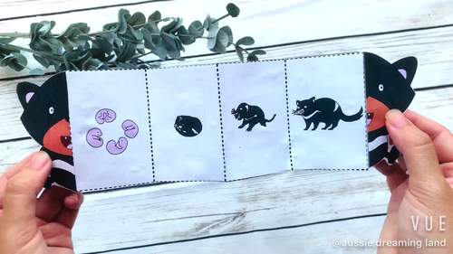Australian Animals, Tasmanian Devil life cycle activity pack and facts