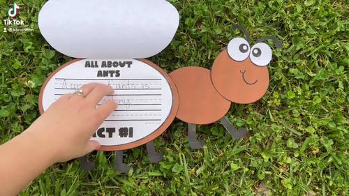 ESL Summer School Activities Ants Craft Writing Kindergarten First ...