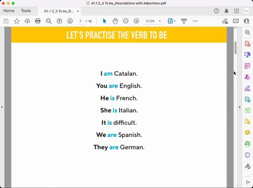 ESL Beginners Lesson: Learn Basic Descriptions with Adjectives | TPT