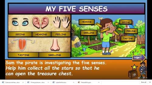 My Five Senses Unit Bundle: Presentation | Drag and Drop | Puzzles ...