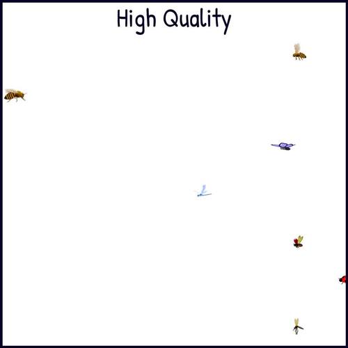 Insect GIFs Clipart - Animated Bugs Moving Across the Screen Clip Art ...