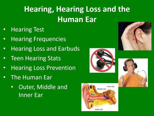 Hearing, Hearing Loss and the Human Ear - Physics and Biology Lesson ...
