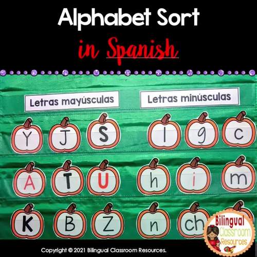 Alphabet Letter Sort | El alfabeto | Clasifico mayúsculas y minúsculas