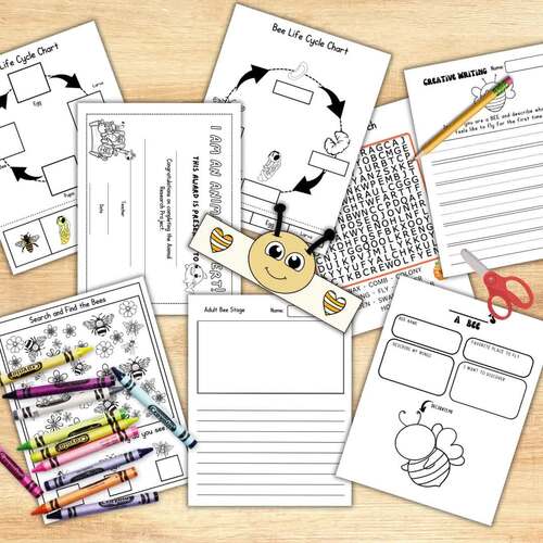 Bee Theme Classroom Bundle | Spring Kindness Classroom | Bee Life Cycle
