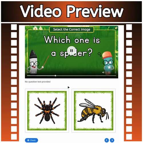 Correct Image: Insects Digital Resources Vocabulary Building by ...