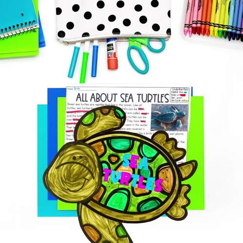 Sea Turtles Nonfiction Reading Informative Writing All About Sea Turtles