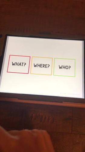 Simple "Wh-" Questions Real Photos - No Print | TPT