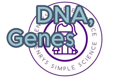DNA, Genes and Variation - 2 lessons - low ability/special ed/SEND