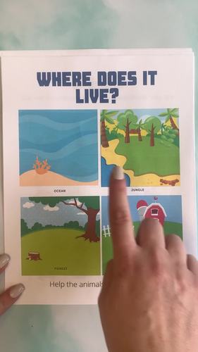 Answering WH questions cut and paste worksheets (where questions)