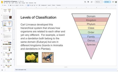 Classification of Organisms Activity by Simply Math and Science | TPT