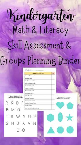 The ULTIMATE Kindergarten Math & Literacy Assessment and Group Planning ...