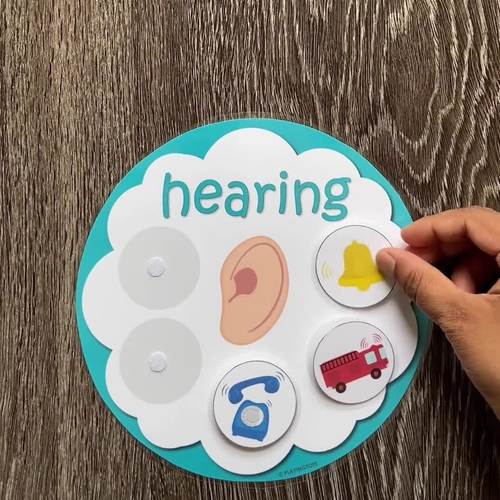 Five Senses Sorting Activity, Learn 5 Sense, Preschool Activity, Busy Bag