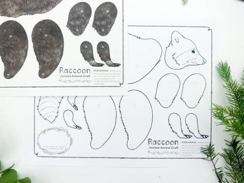 BUNDLE | Raccoon | Printable Paper Craft Templates | Raccoons | TPT