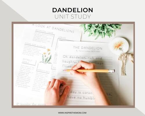 Dandelion Unit Study by Inspire the Mom | TPT