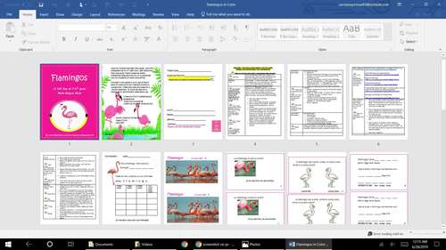 Flamingos Full Day Lesson Plans Grades 1 & 2 by Carol Pirman | TPT