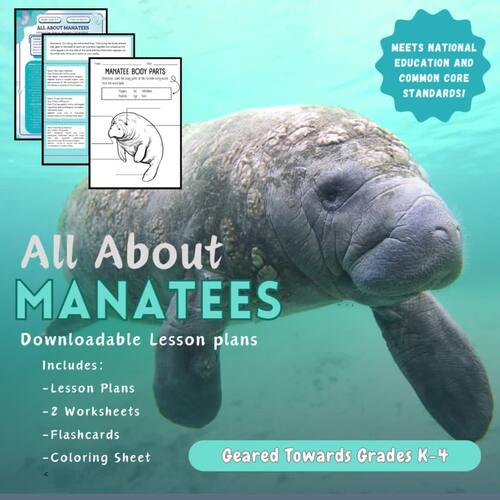 All About Manatees Lesson Plans for Grades K-4 by SeantistsClassroom