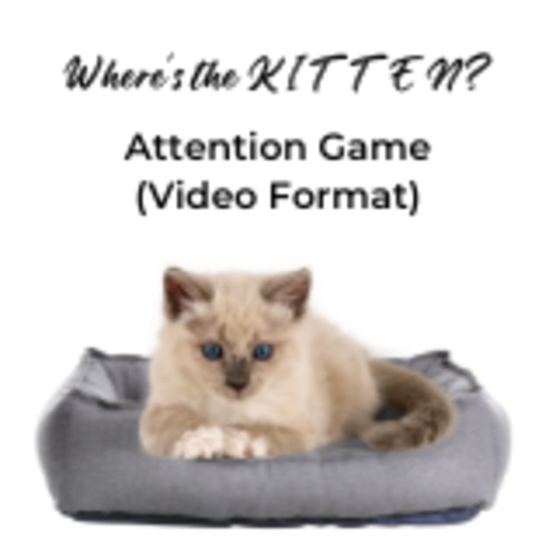 Sustained Attention or Brain Break Video Format Where's the Kitten ...