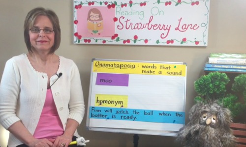 VIDEO: Reading: Set 1. Lesson 49. Word Family Pattern -ix | TPT