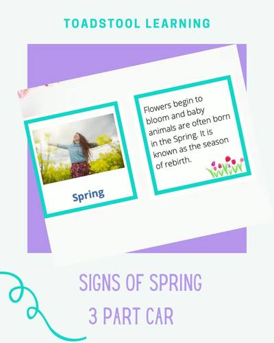 Montessori 3-Part Matching Cards - Signs of Spring by Toadstool Learning