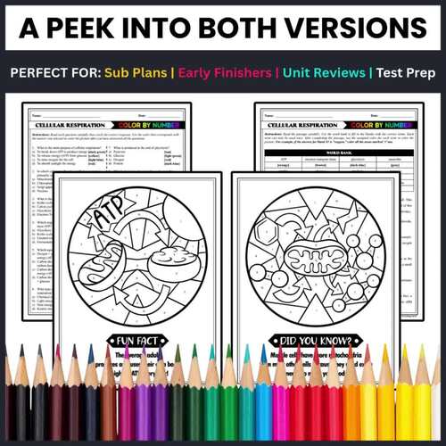 Cellular Respiration Color by Number |Biology Coloring Review Worksheet ...