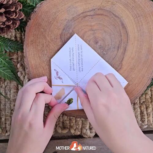 Beach Cootie Catcher | Beach Chatterbox | Beach Printable by Mother Natured