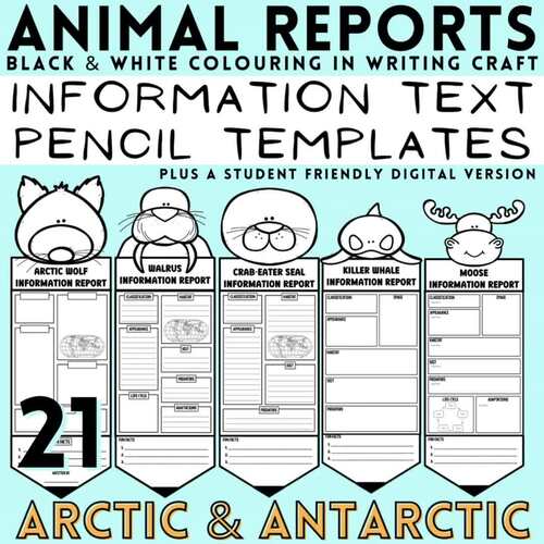 Polar Animals Research Report Project Informative Written Display ...