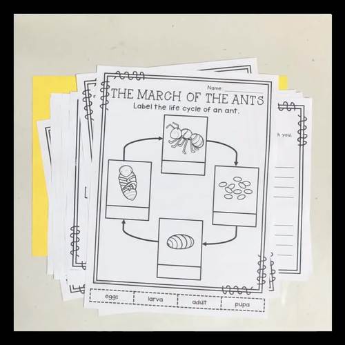 The March of the Ants Worksheets & Activities by Little Learner Hub