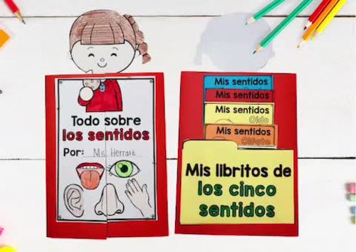 Los cinco sentidos | The Five Senses in Spanish by Ms Herraiz | TPT