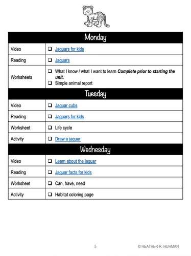 Jaguar Unit Study (Rainforest Animals Lesson Plan, Videos, Activities)