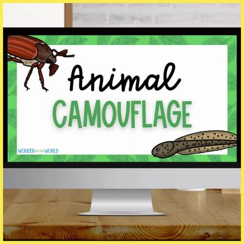 Animal adpatations camouflage slideshow worksheets and butterfly activity
