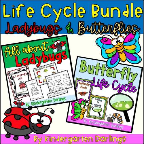 Spring Insect Life Cycle Bundle of a Butterfly and a Ladybug | TPT
