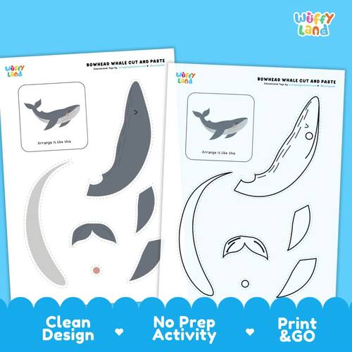 Bowhead Whale Craft | Cut and Paste Activity + Arctic Animal Coloring Pages