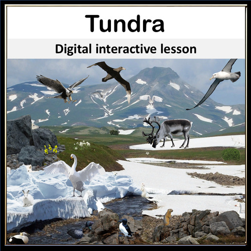 Discover the Tundra Biome: Tundra Animals, Survival & Mysteries Science ...