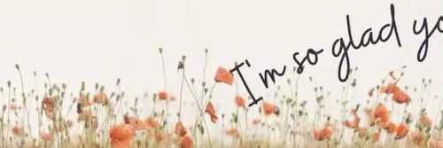 TPT Animated Quote Box & Banners Flower Fields by Designed to Educate ...